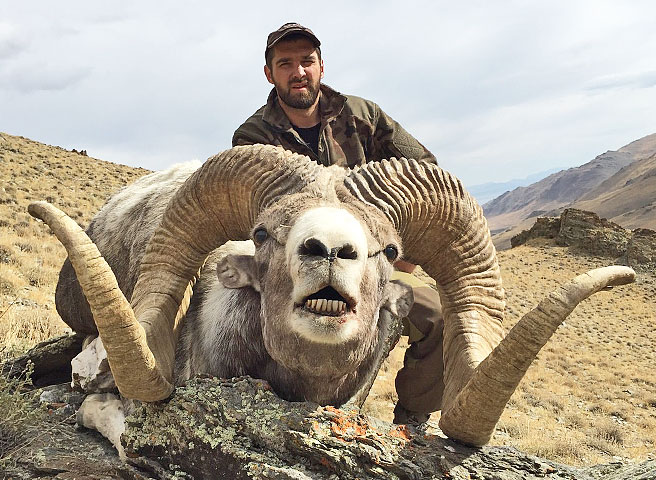 Jagd in der Mongolei : Altai Argali und Steinbock! | ProfiHunt : ProfiHunt