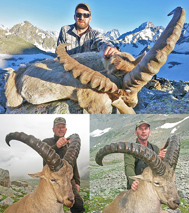 Kuban Tur hunting - great start of a long season! | ProfiHunt : ProfiHunt