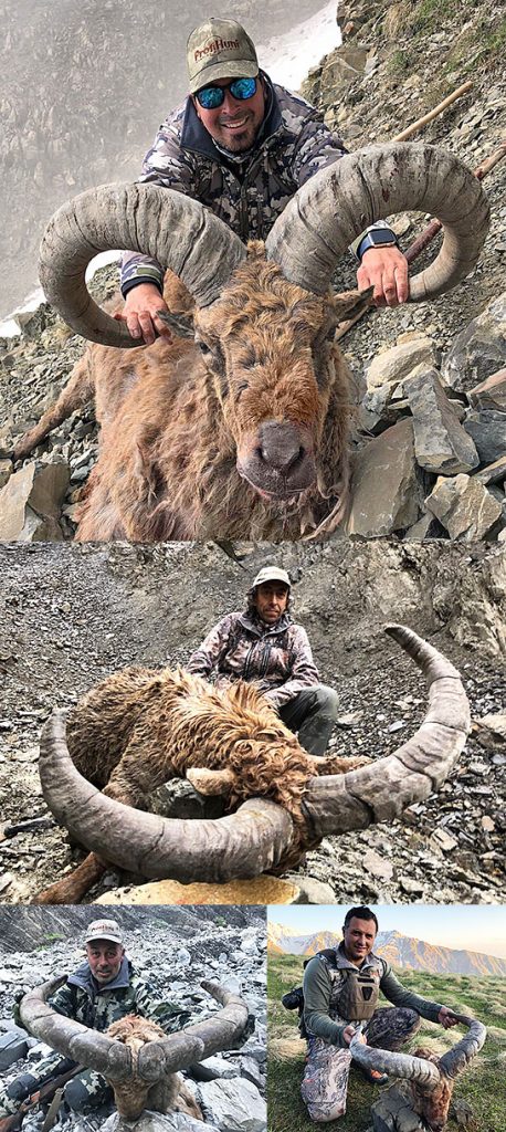 Dagestan Tur hunting in Azerbaijan! | ProfiHunt : ProfiHunt