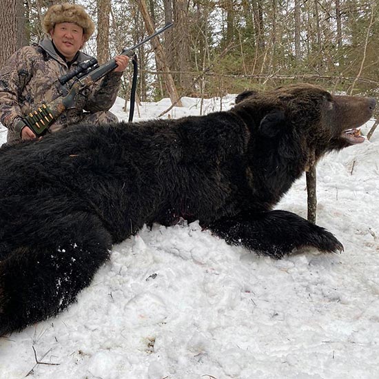 Amur Brown Bear hunting - successful start of the season! | ProfiHunt ...