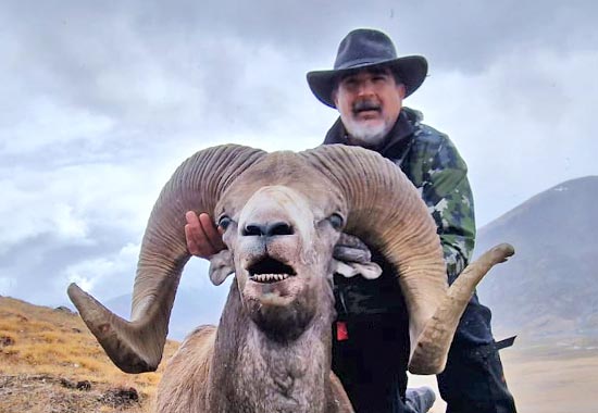 Combo hunt in Mongolia - Altai Argali & Altai Ibex & Gobi Ibex ...